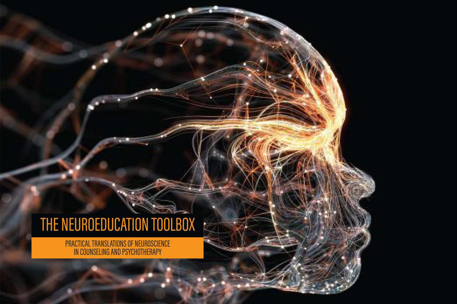 The Neuroeducation Toolbox Published | Family Institute